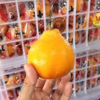 Jual Jeruk Ponkam Terdekat - Harga Murah & Grosir April 2024