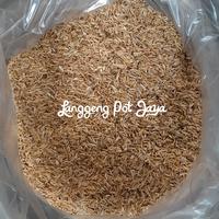 Jual Sekam Padi Terbaik - Harga Murah Maret 2025 & Cicil 0%