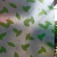 Jual Stiker Kaca Blur Terlengkap - Harga Murah April 2024 & Cicil 0%