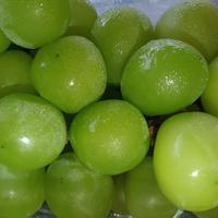 Jual Anggur Muscat Terdekat - Harga Murah & Grosir Januari 2024