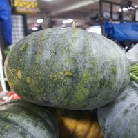 Jual Labu Kuning Terbaik - Harga Murah Februari 2024 & Cicil 0%