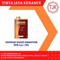 Jual Propan Paint Remover Terbaik - Harga Murah Juni 2024 & Cicil 0%