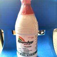 Jual Racun Rumput Roundup Murah & Terbaik - Harga Terbaru Juni 2024