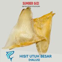 Jual Sirip Ikan Hiu Terdekat - Harga Murah & Grosir Juni 2024