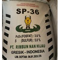 Jual Pupuk Sp 36 Terbaik - Harga Murah Juni 2024 & Cicil 0%