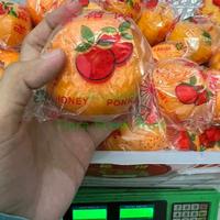 Jual Jeruk Ponkam Terdekat - Harga Murah & Grosir April 2024