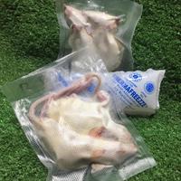 Jual Tikus Putih Murah - Harga Terbaru Februari 2025