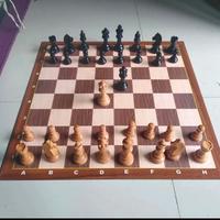 Jual Aneka Papan Catur Terlengkap - Harga Murah Mei 2025