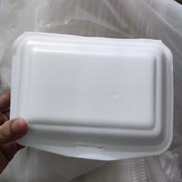 Styrofoam Makanan Harga Terbaru - Pilihan Terlengkap