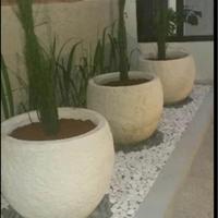 Jual Pot Batu Besar Terbaik - Harga Murah Mei 2024 & Cicil 0%