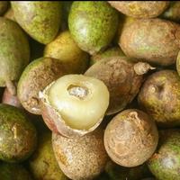 Jual Buah Matoa 1 Kg Terdekat - Harga Murah & Grosir Juni 2024