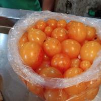 Jual Telur Muda Ayam Terlengkap - Harga Murah Juni 2024