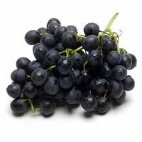 Jual Anggur Autumn Terdekat - Harga Murah & Grosir Januari 2025