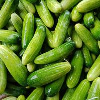 Jual Timun 1kg Murah - Harga Terbaru 2025