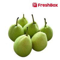 Jual Pear Xiang Lie Murah - Harga Terbaru 2024