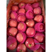 Apel Fuji Harga Termurah - Pilihan Favorit