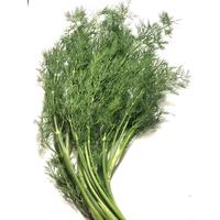 Jual Daun Dill Terdekat - Harga Murah & Grosir Desember 2022