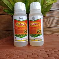 Jual Decis 500Ml Terlengkap & Terbaik - Harga Murah Juni 2024