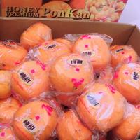 Jual Jeruk Ponkam Terdekat - Harga Murah & Grosir Juni 2024