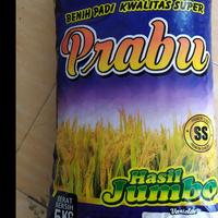 Jual Padi Ir 64 Terlengkap - Daftar Harga Maret 2024 & Cicilan 0%