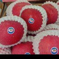Jual Apel Fuji 1kg Murah - Harga Terbaru 2025