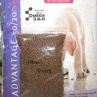 Jual Caliber Dog Food Terlengkap & Terbaik - Harga Murah Juni 2024