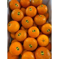 Jual Jeruk Wogan Terdekat - Harga Murah & Grosir Juni 2024