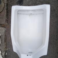 Jual Urinoir Toto U57m Terbaik - Harga Murah Juni 2024 & Cicil 0%