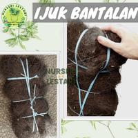 Jual Ijuk Resapan Murah & Terbaik - Harga Terbaru Februari 2025