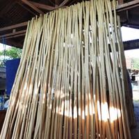 Jual Kayu Dolken Terbaik - Harga Murah November 2022 & Cicil 0%