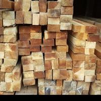 Jual Kayu Kaso 4X6 Terbaik - Harga Murah Juni 2024 & Cicil 0%