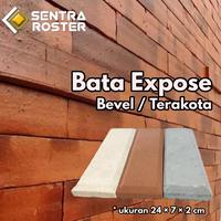 Jual Bata Tempel Terakota Terbaik - Harga Murah Juni 2024 & Cicil 0%