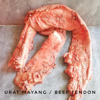 Jual Tendon Sapi Terdekat - Harga Murah & Grosir Mei 2025