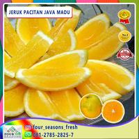 Jual Jeruk Baby Pacitan Terdekat - Harga Murah & Grosir Juni 2024