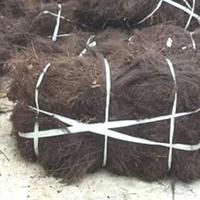 Jual Ijuk Murah & Terbaik - Harga Terbaru Maret 2025