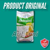 Jual Antracol 1 Kg Murah - Harga Terbaru 2024