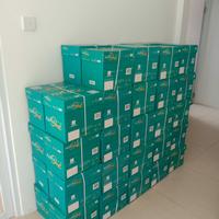 Jual Kertas Cts Terlengkap - Harga Grosir & Murah Februari 2024