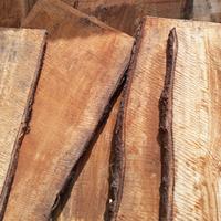 Jual Kayu Mangga Terbaik - Harga Murah Juni 2024 & Cicil 0%