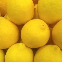 Jual Lemon 1 Kg Terdekat - Harga Murah & Grosir Juli 2023