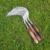 Jual Sabit Terbaik - Harga Murah Januari 2025 & Cicil 0%