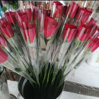Bunga Mawar 1 Tangkai Indah & Romantis! Terbaru April 2024