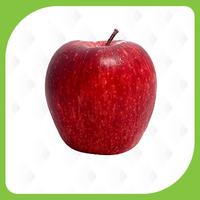 Jual Apel Washington Terdekat - Harga Murah & Grosir April 2024