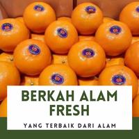 Jual Jeruk Ponkam Terdekat - Harga Murah & Grosir Februari 2024