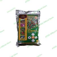 Jual Jagung Turbo Terdekat - Harga Murah & Grosir Mei 2024