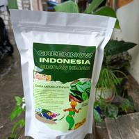 Cincau Fresh Terbaik, Harga Termurah! 2025