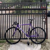 Jual Alphalab Murah - Harga Terbaru Mei 2024