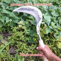 Jual Arit Rumput Terbaik - Harga Murah Desember 2023 & Cicil 0%
