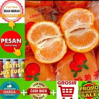 Jual Jeruk Ponkam Terdekat - Harga Murah & Grosir April 2024