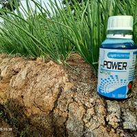 Jual Power Grow Murah - Harga Terbaru Mei 2024
