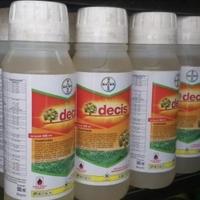 Jual Decis 500Ml Terlengkap & Terbaik - Harga Murah April 2025